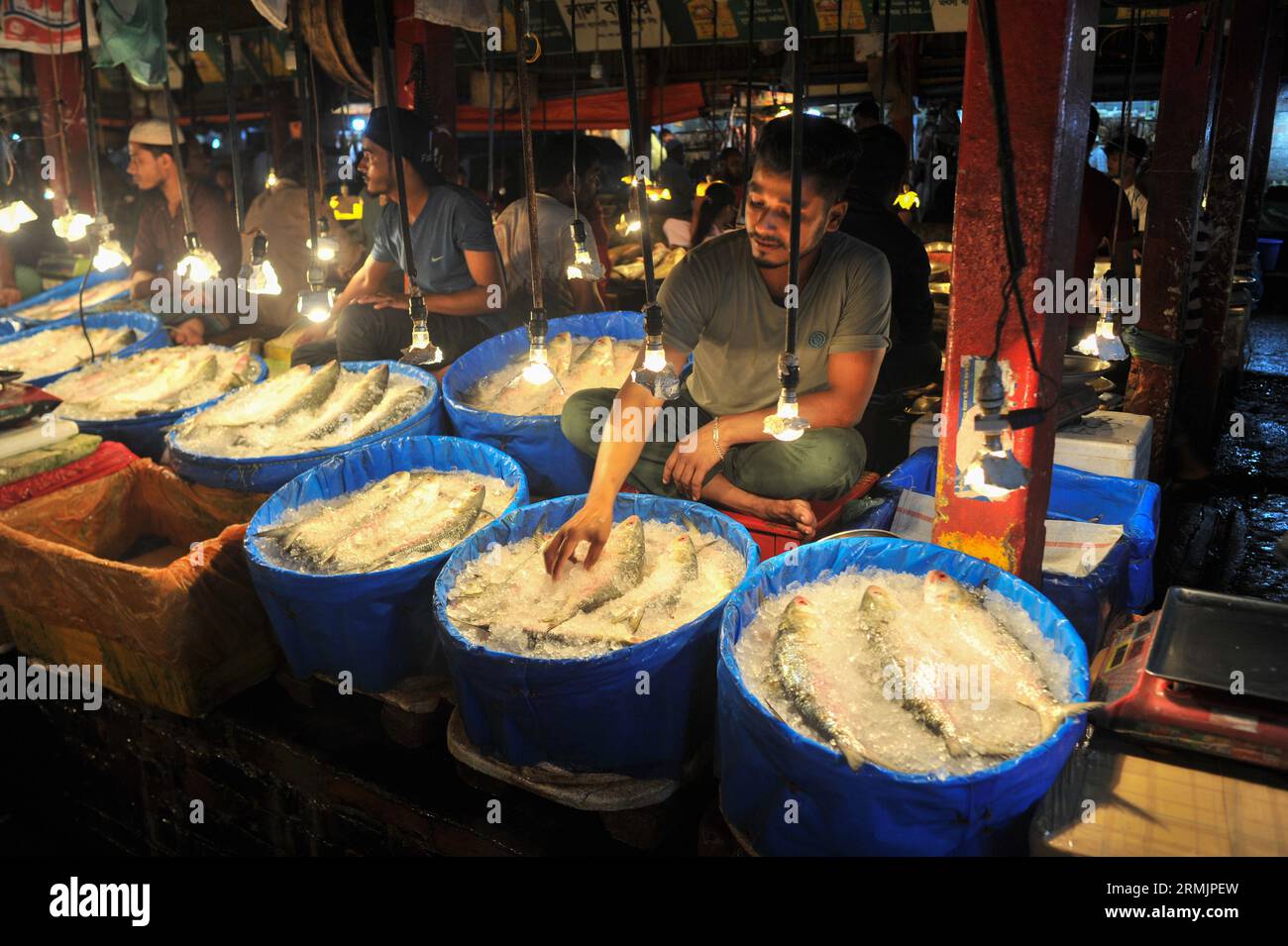 People buy Hilsa fish at the Lalbazar fish market in Sylhet city ...