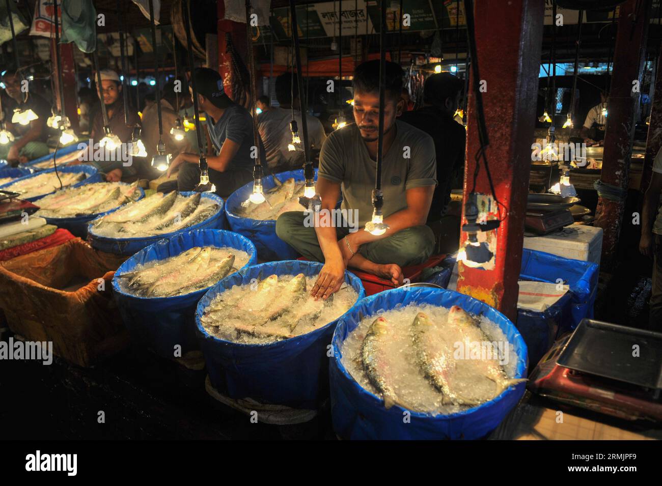 People buy Hilsa fish at the Lalbazar fish market in Sylhet city ...