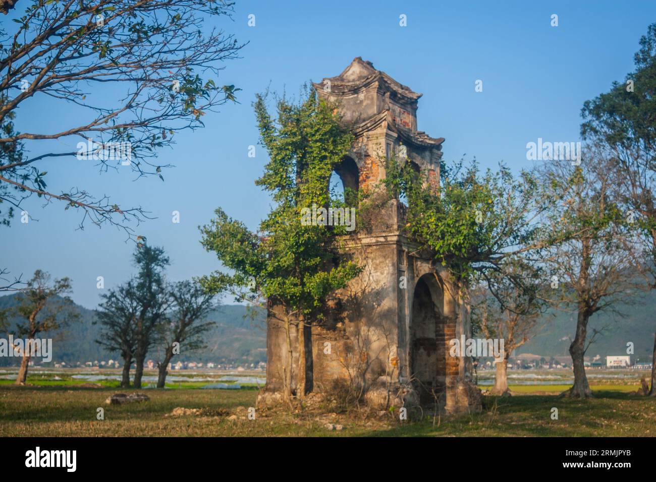 Some landscape images of agricultural activities in Lam Dong Lam Dong ...