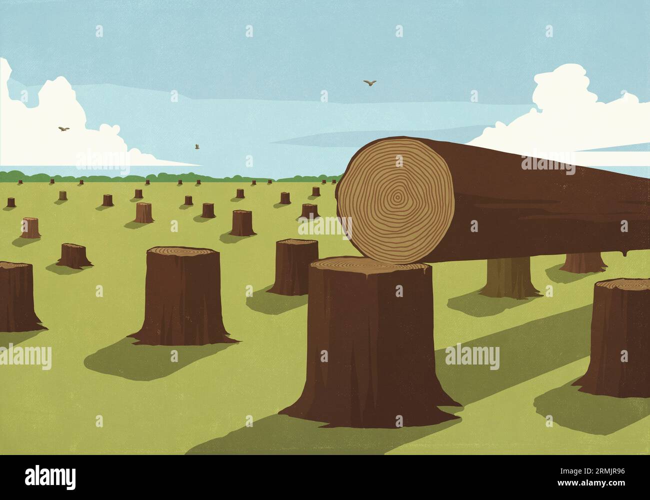 Cut log and tree stumps in sunny field Stock Photo - Alamy