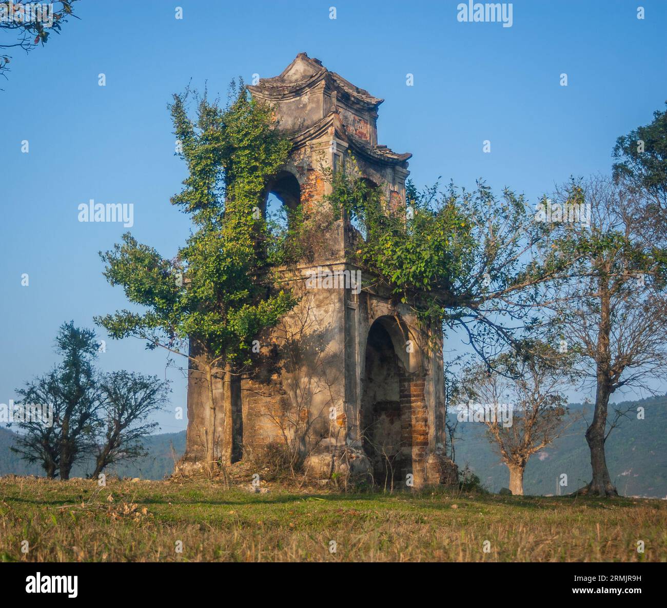 Some landscape images of agricultural activities in Lam Dong Lam Dong ...