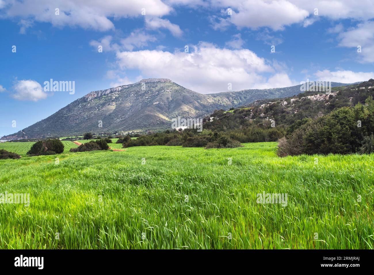 Cyprus park hi-res stock photography and images - Alamy