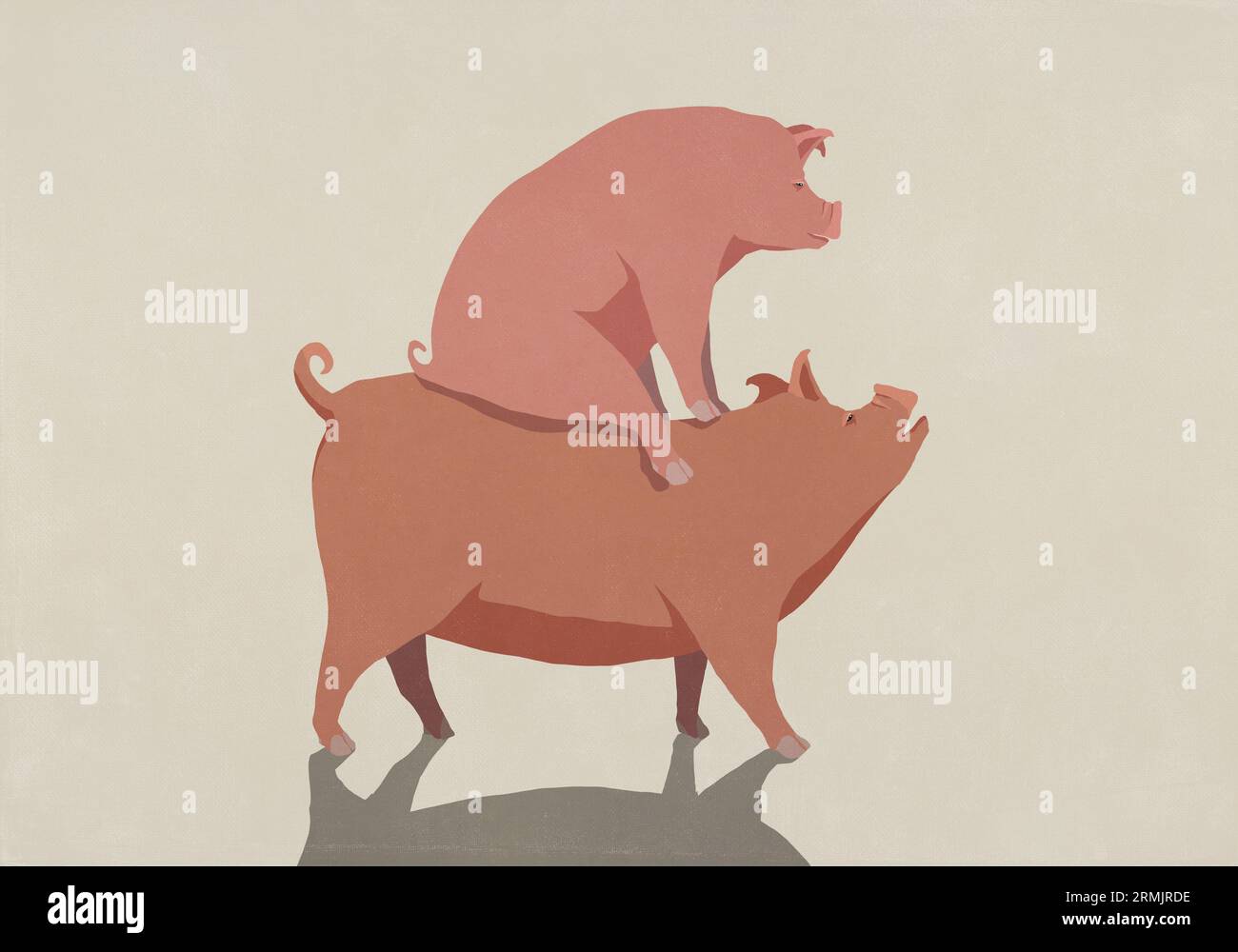 Pink pig freeloading, piggybacking Stock Photo - Alamy