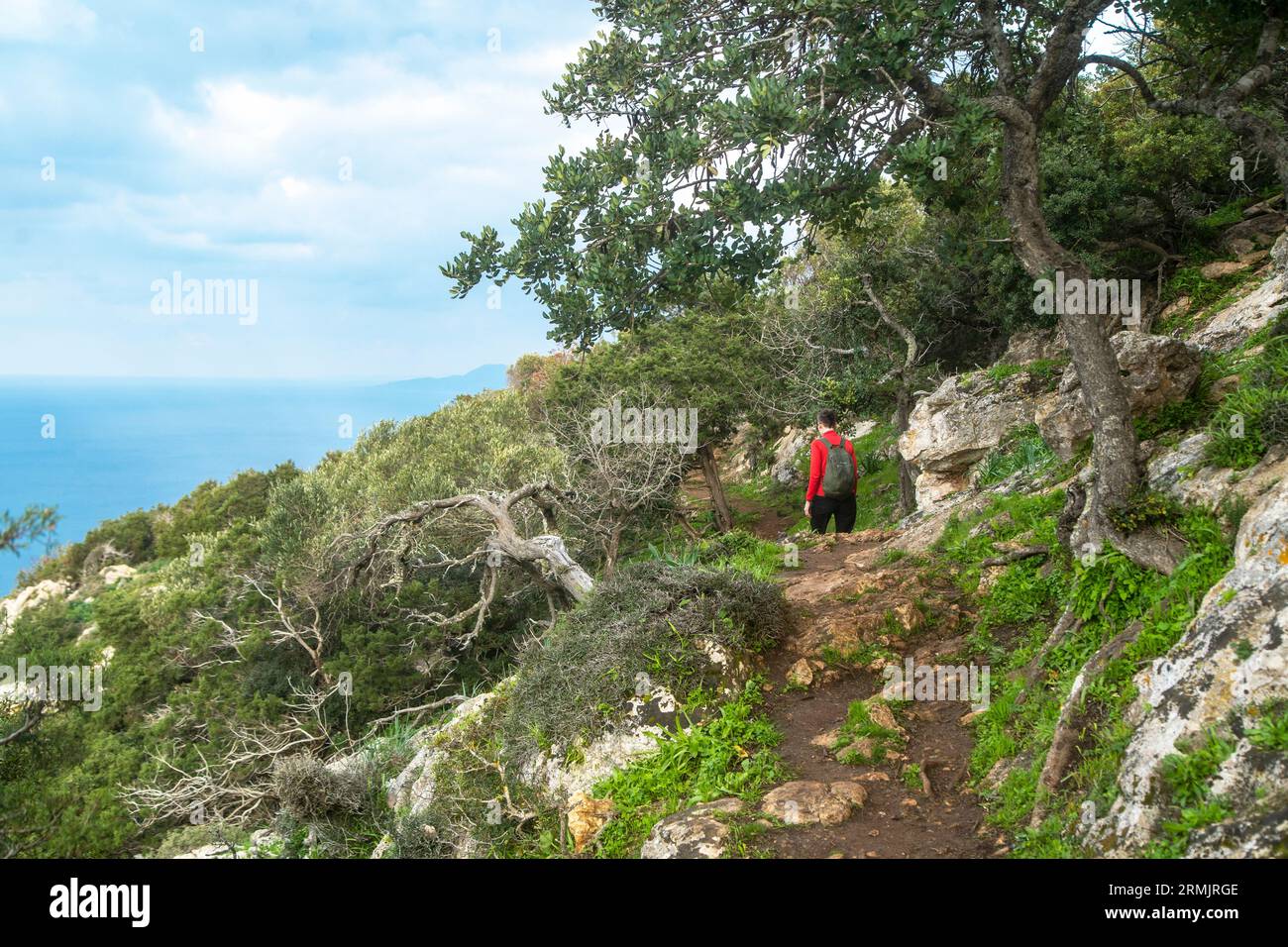 Cyprus: Akamas National Park Stock Photo - Alamy