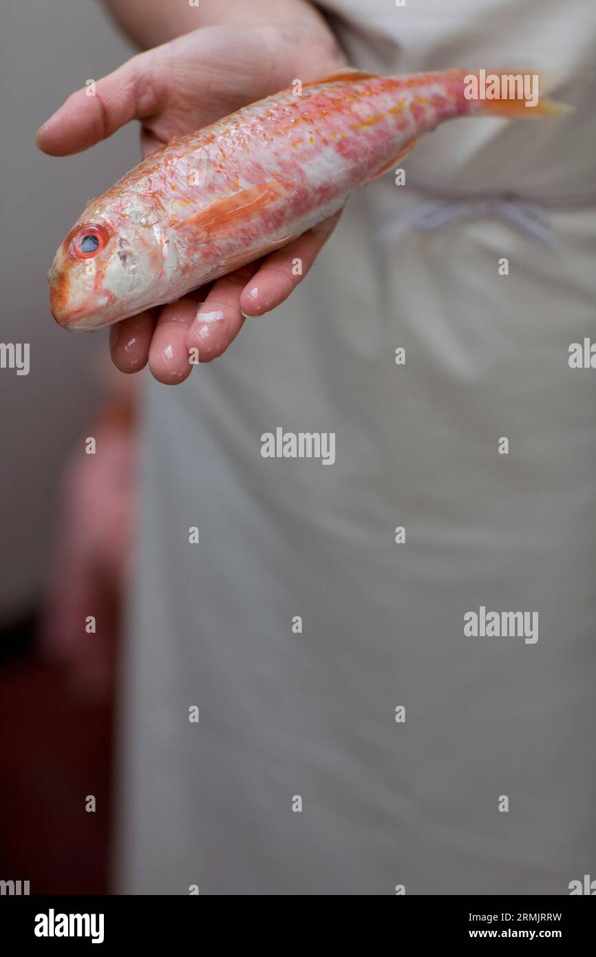 Hands holding fish hi-res stock photography and images - Alamy