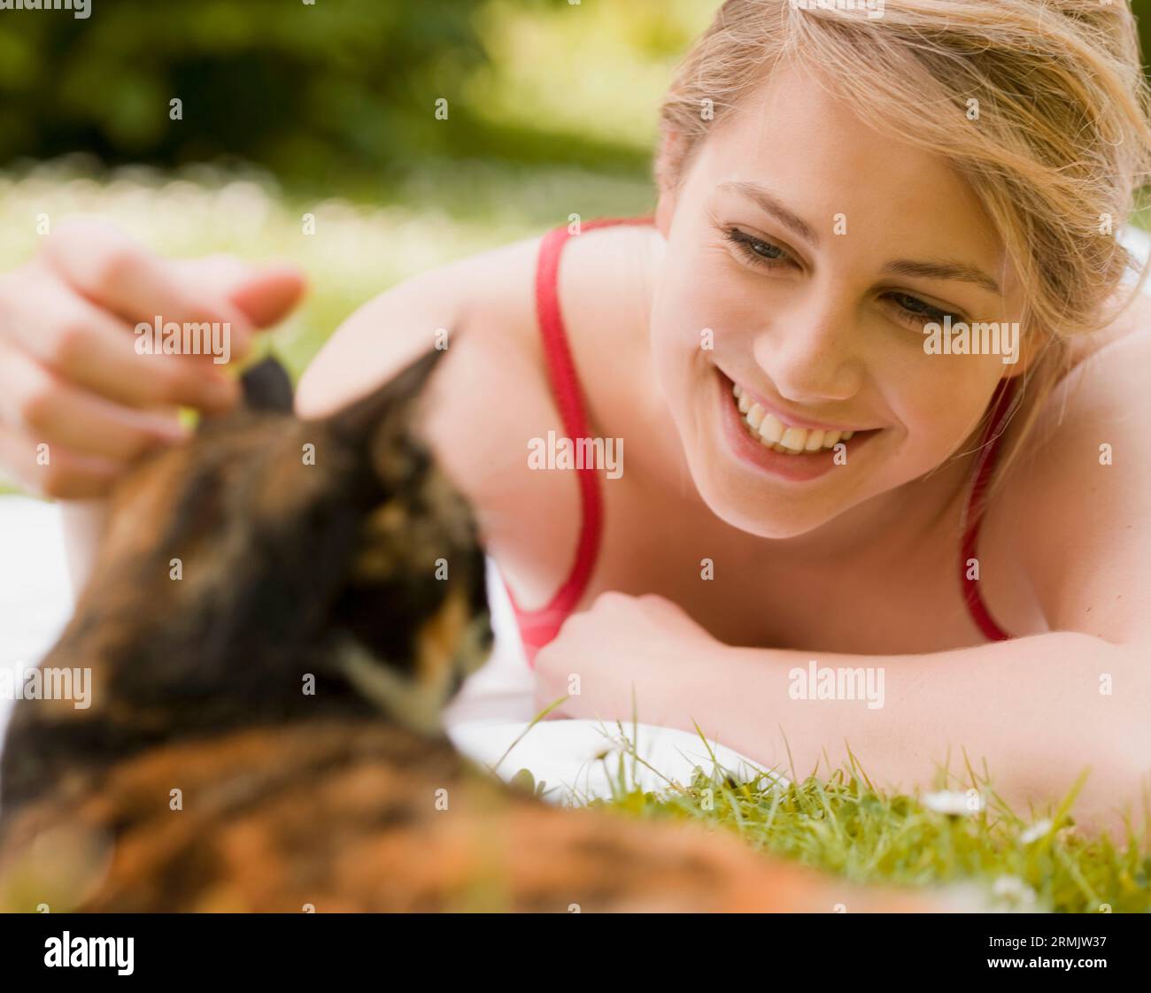 Caressing grass hi-res stock photography and images - Alamy