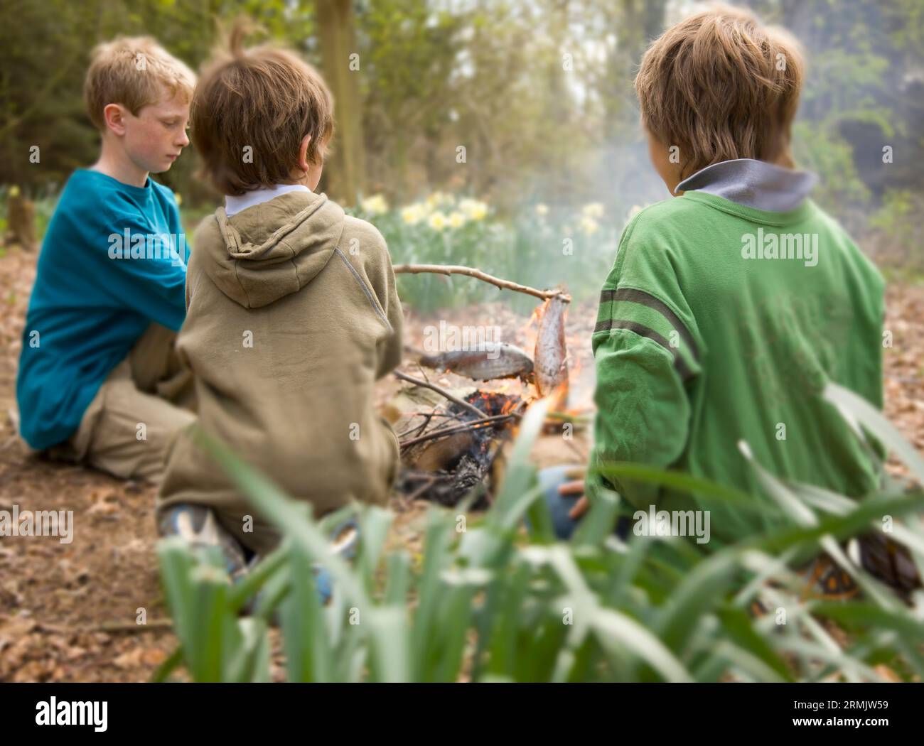 Three boys sitting around campfire cooking fish Stock Photo - Alamy