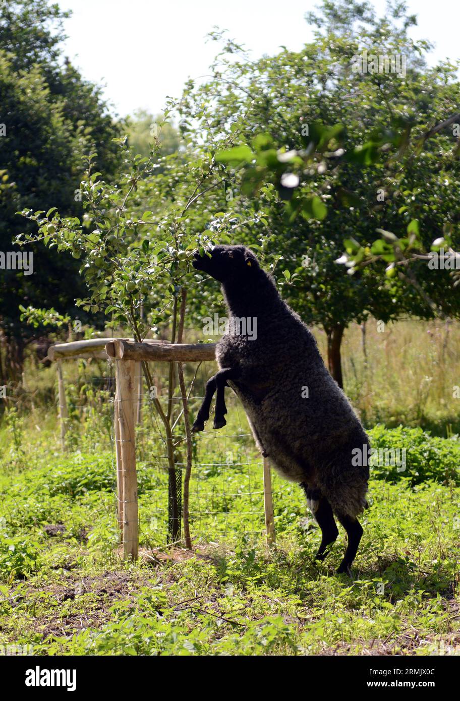 On the feet hi-res stock photography and images - Alamy