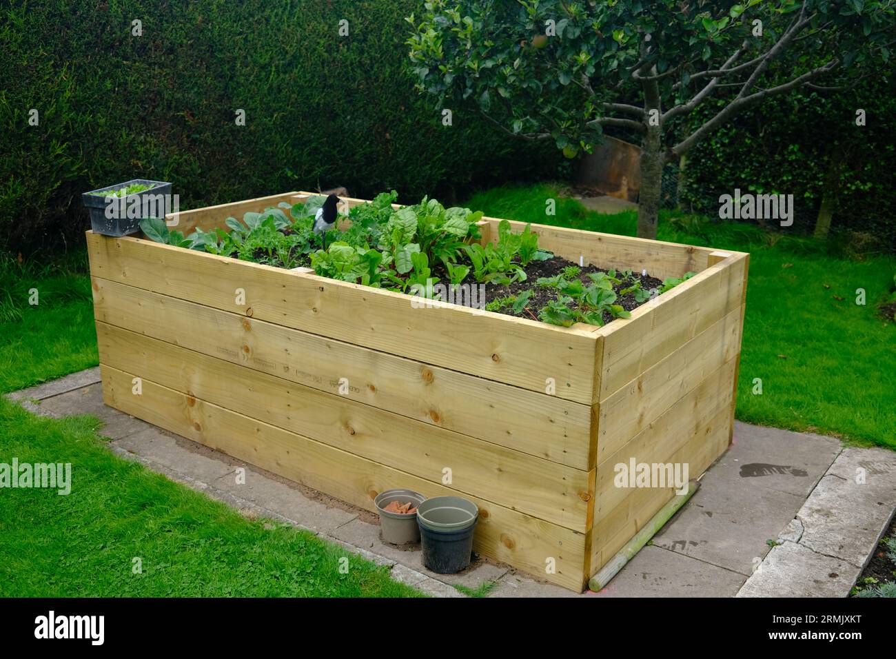 Raised Beds for growing Fruit, Vegetables, Salad and Herbs. Better for ...