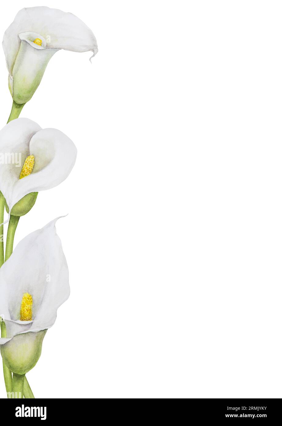 Paper Calla Lily Border Yellow Calla Lilies (Framed) — Grant Perry