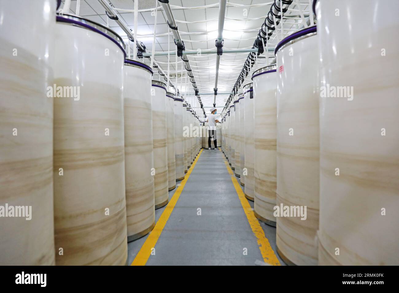 The female worker is busy on the production line in a spinning factory ...