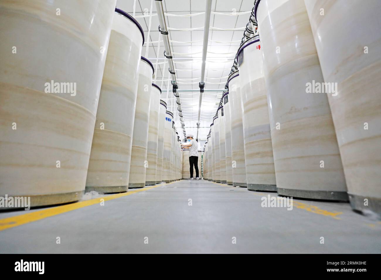 The female worker is busy on the production line in a spinning factory ...