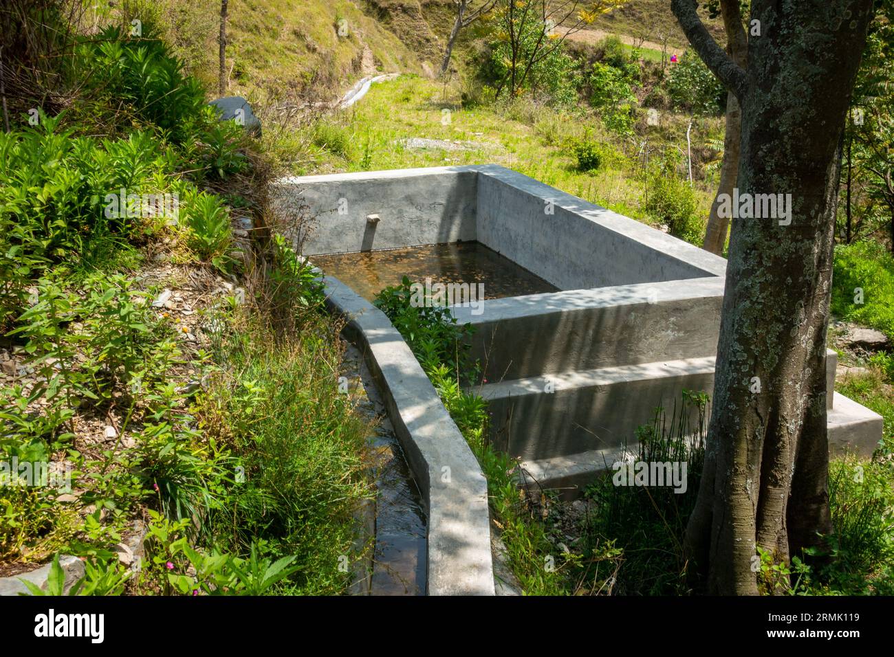 Tranquil countryside farmland in Uttarakhand's Garhwal region ...