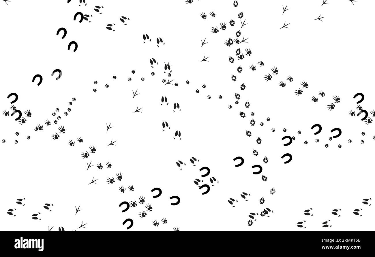 Wild animal footprint pattern. Seamless print with paw steps of bear ...