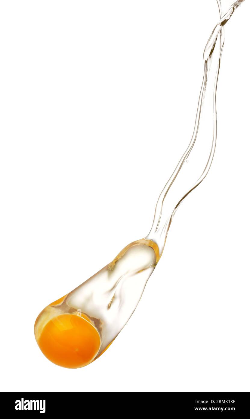 Egg yolk and egg white falling down isolated Stock Photo - Alamy