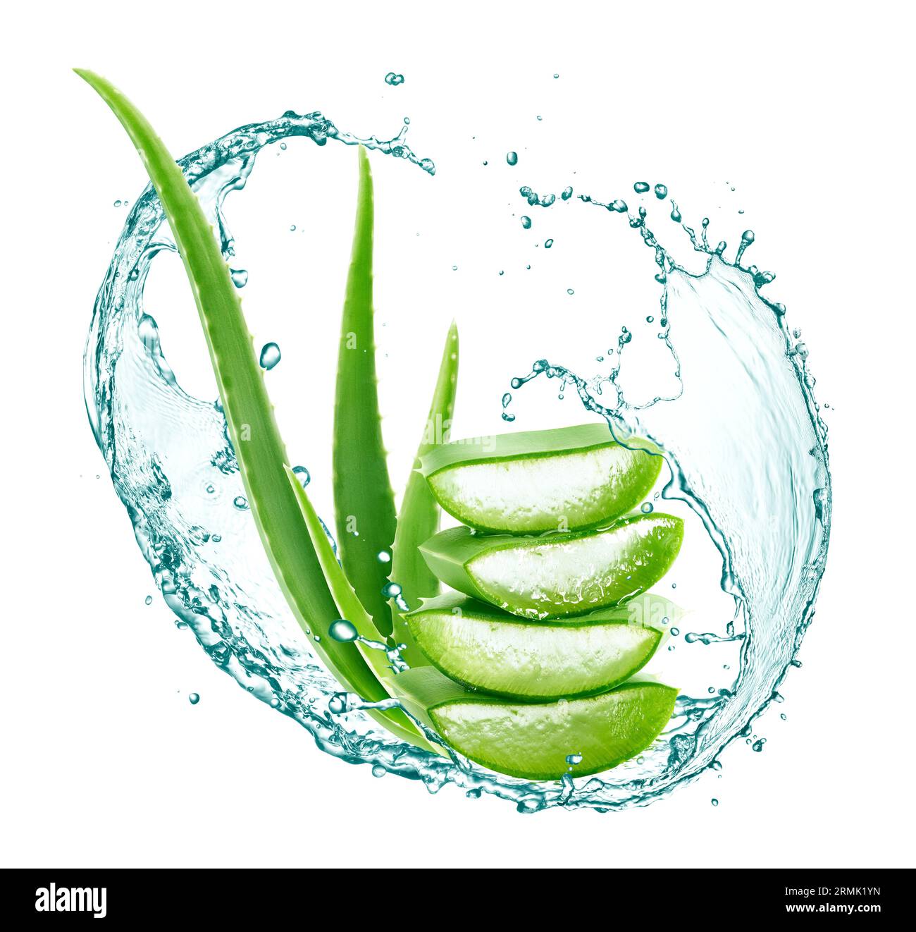 Aloe vera slices with water splash isolated on white background Stock ...