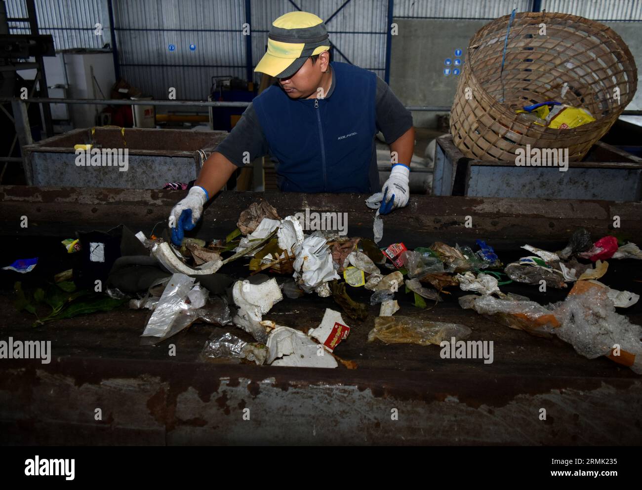 East Java, Indonesia, Indonesia. 29th Aug, 2023. a worker sorting ...