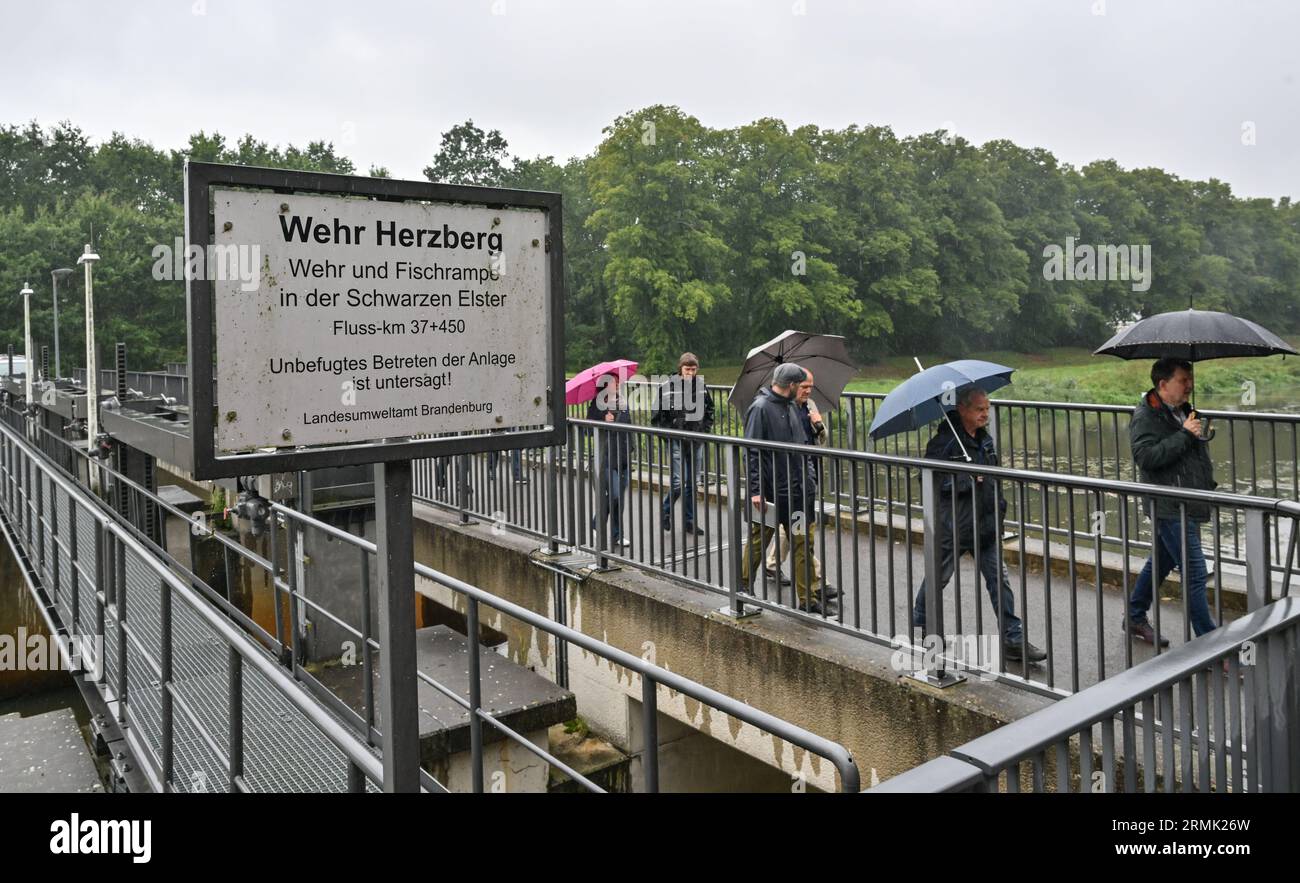 Schwarze elster hi-res stock photography and images - Alamy