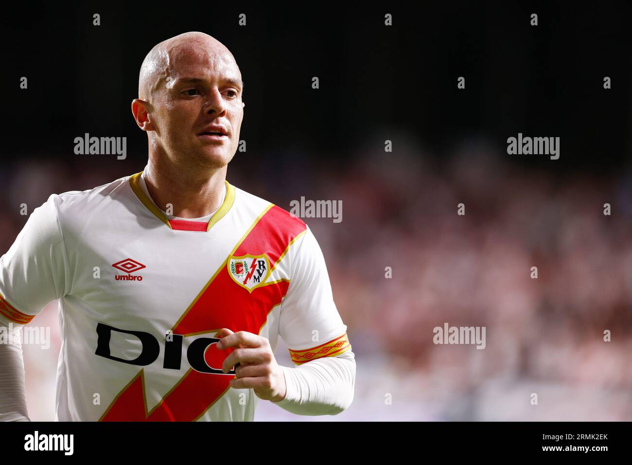 Isi palazón hi-res stock photography and images - Alamy