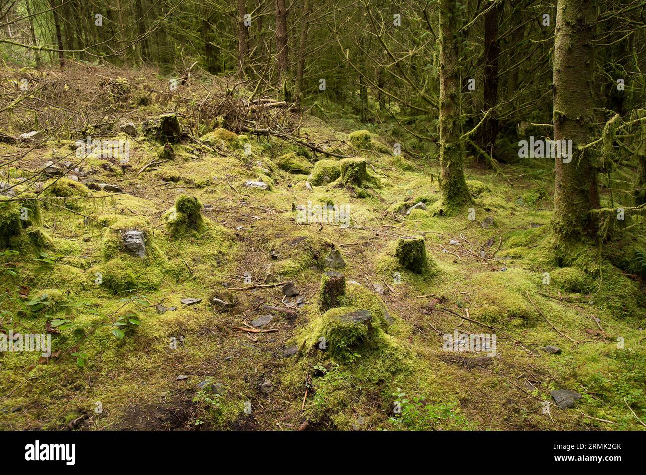 Four Waterfalls Gwaun Hapste Brecon Beacons, Bannau Brycheiniog Wales ...