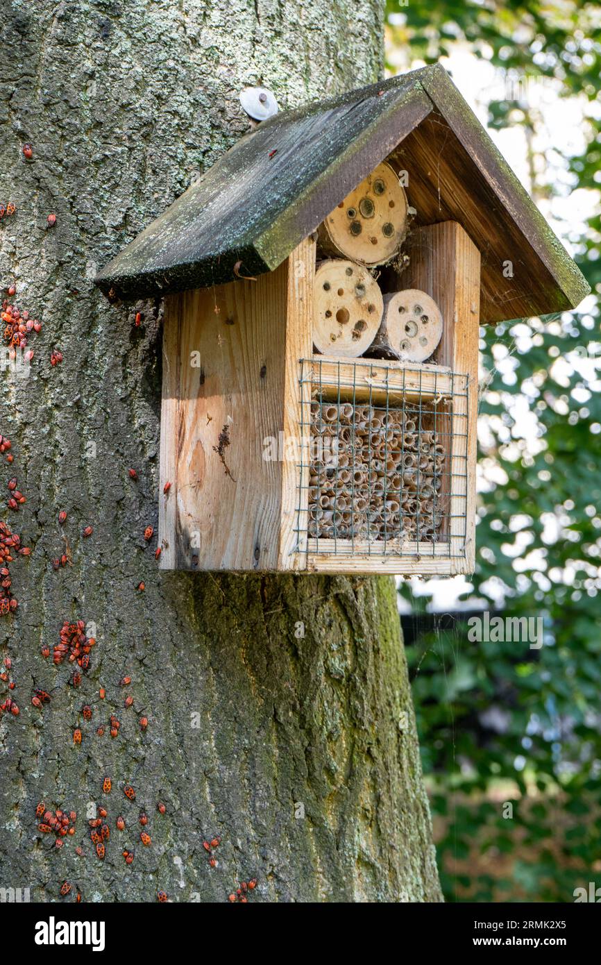 Settle diy hi-res stock photography and images - Alamy