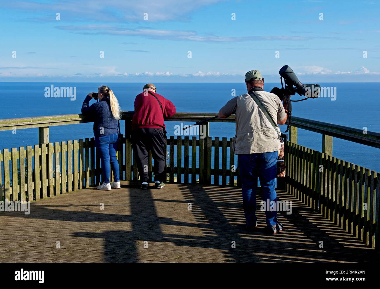 Bird-watchers at Bempton Cliffs, an RSPB nature reserve in East ...