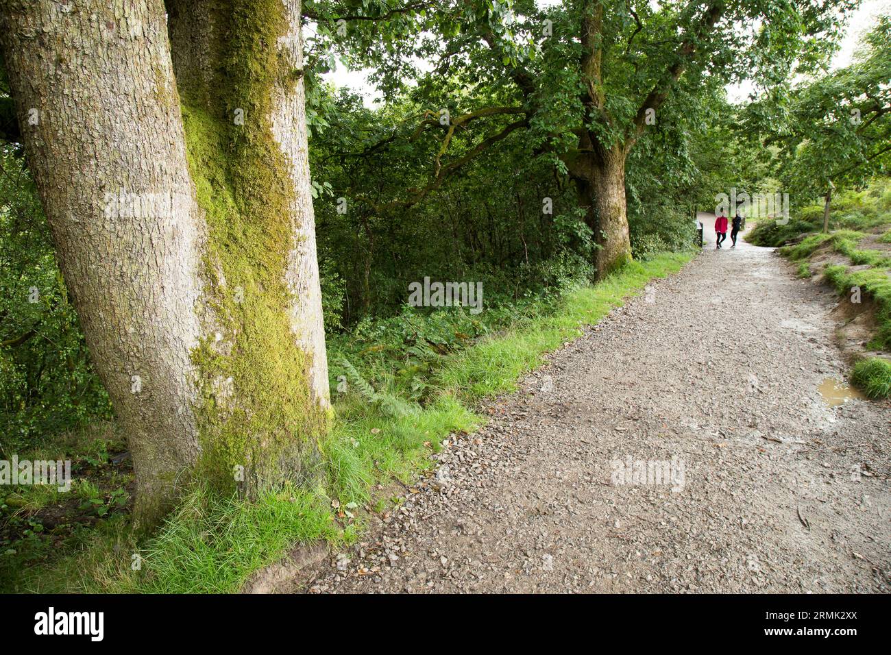 Four Waterfalls Gwaun Hapste Brecon Beacons, Bannau Brycheiniog Wales ...