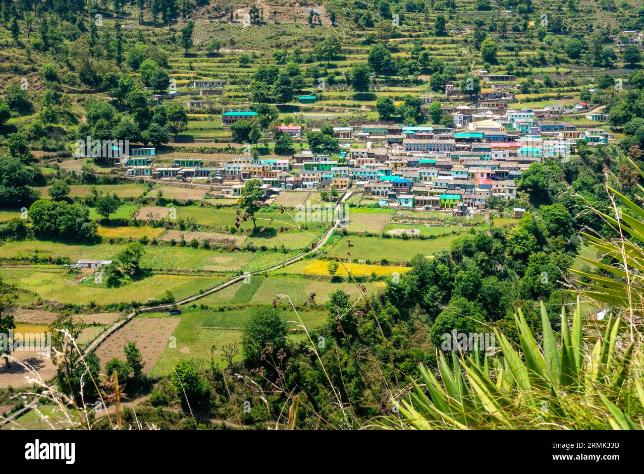 Step houses in the lap of the Garhwal Himalayas, Saindul village, Tehri ...