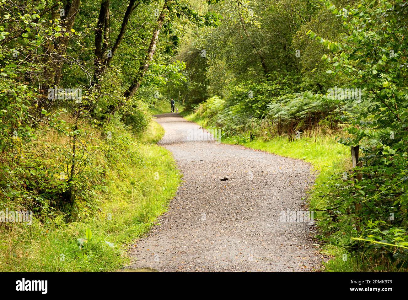 Four Waterfalls Gwaun Hapste Brecon Beacons, Bannau Brycheiniog Wales ...