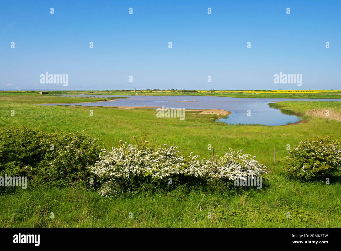 Kilnsea Wetlands, East Yorkshire, England UK Stock Photo - Alamy