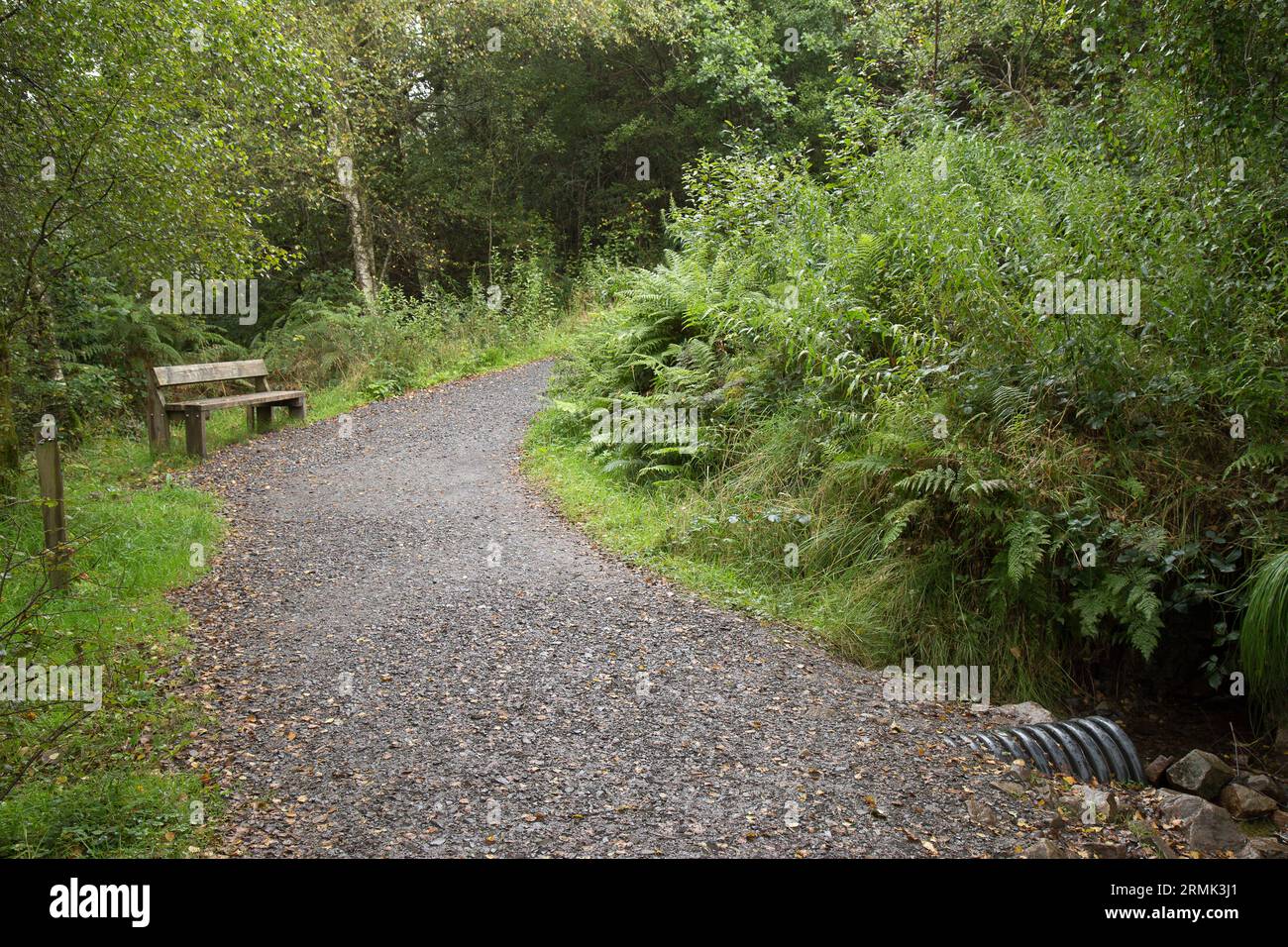 Four Waterfalls Gwaun Hapste Brecon Beacons, Bannau Brycheiniog Wales ...