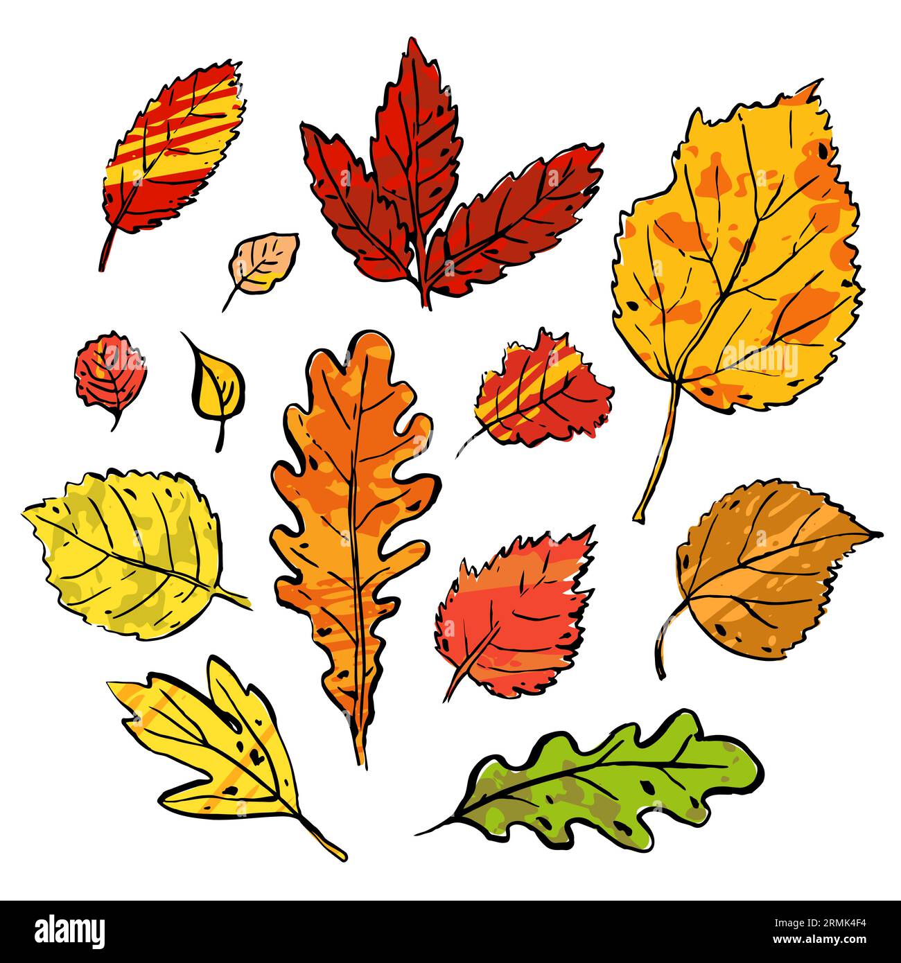 Autumn Leaves sketch set. Hand-drawn color textured herbs on white ...