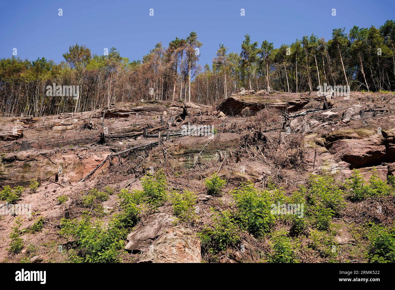 Rodalben germany hi-res stock photography and images - Alamy