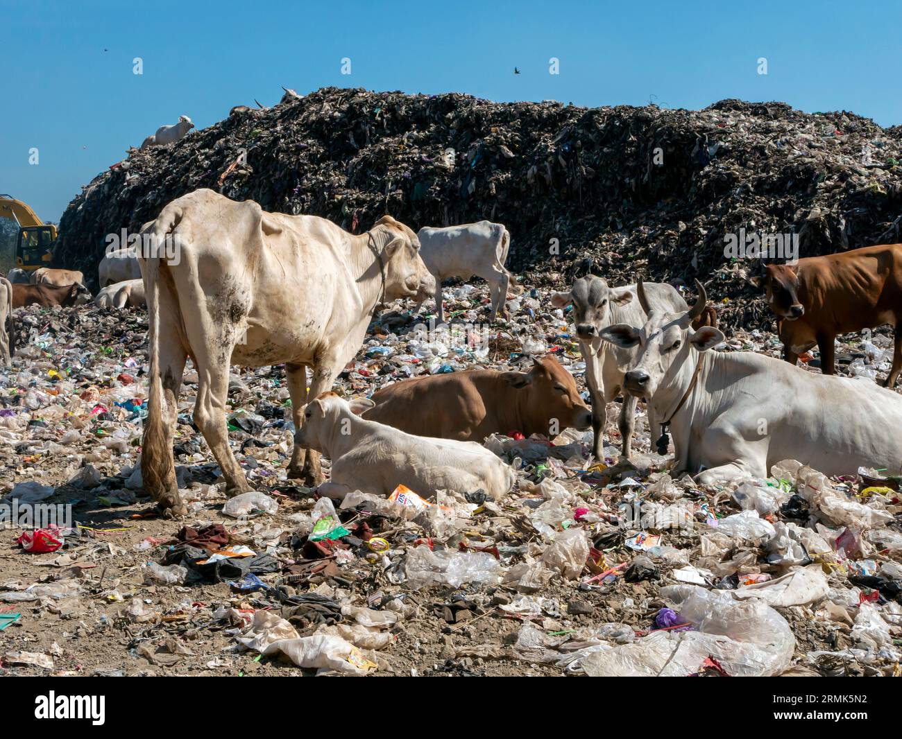 Environmental and waste management hi-res stock photography and images ...