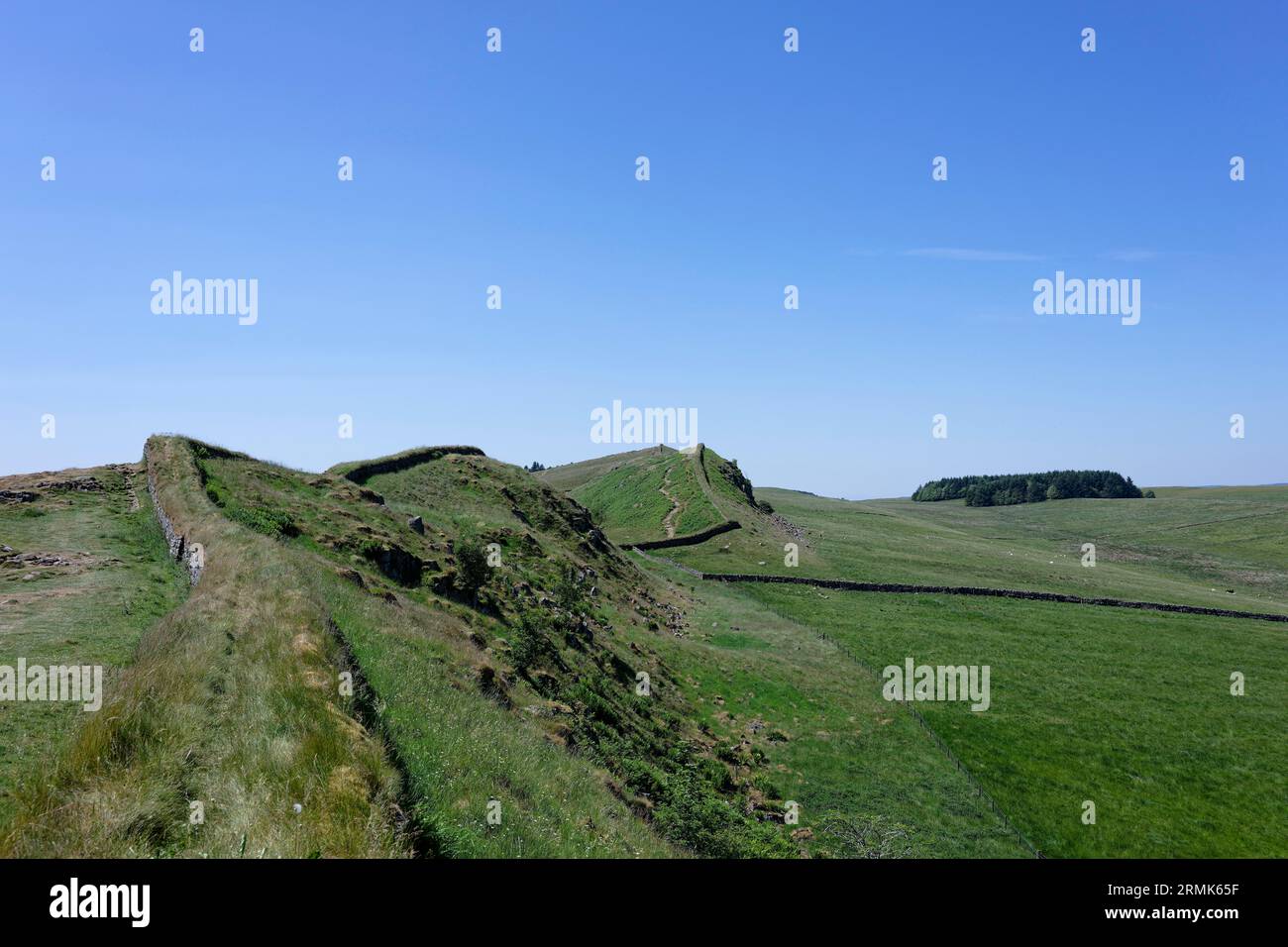 Hadrian's Wall, Fort Vercovicium or Borcovicium, Thorngrafton, Bardon ...