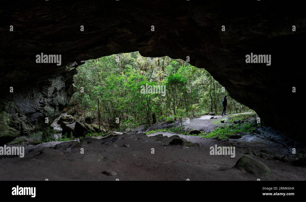Unidentified Hiker Emerging from Huge Cave into Forest Landscape Stock ... Unidentified Hiker Emerging from Huge Cave into Forest Landscape Stock ...