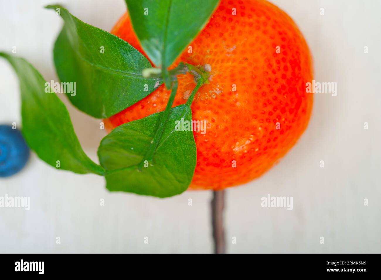 Tangerine and blueberry on white rustic wood table Stock Photo - Alamy
