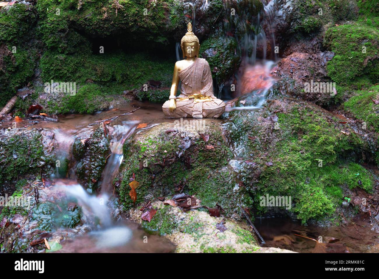 Buddha statue sitting in a river with rocks and green moss and with a ...