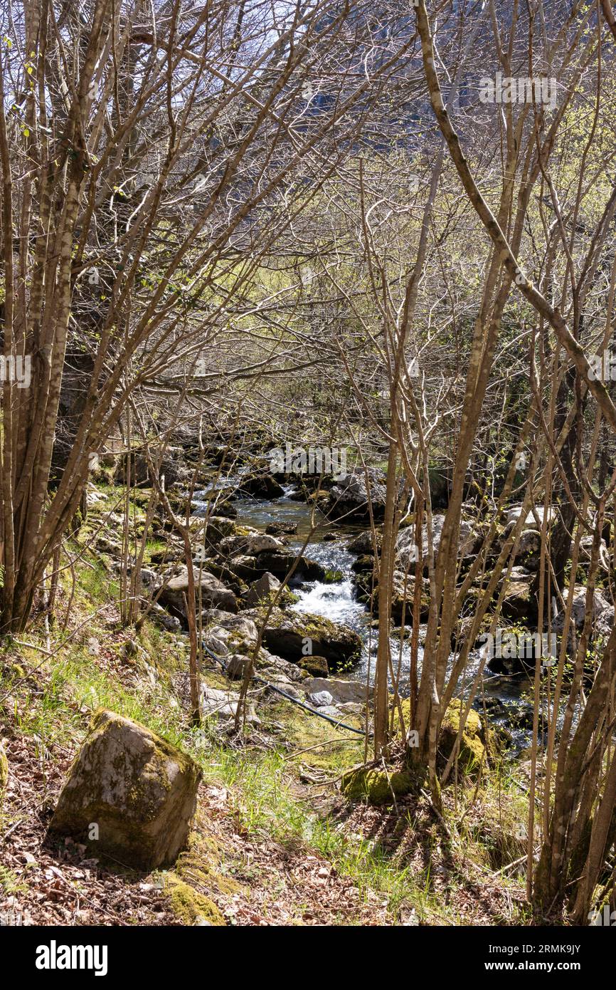 Breathtaking Landscape Reveals a Cascading River in Northern Spain's ...