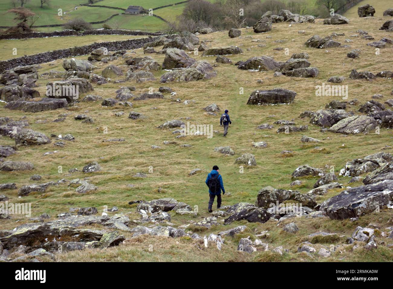 Two Men Walking in a Field of Millstone Grit Boulders (Erratics) on ...