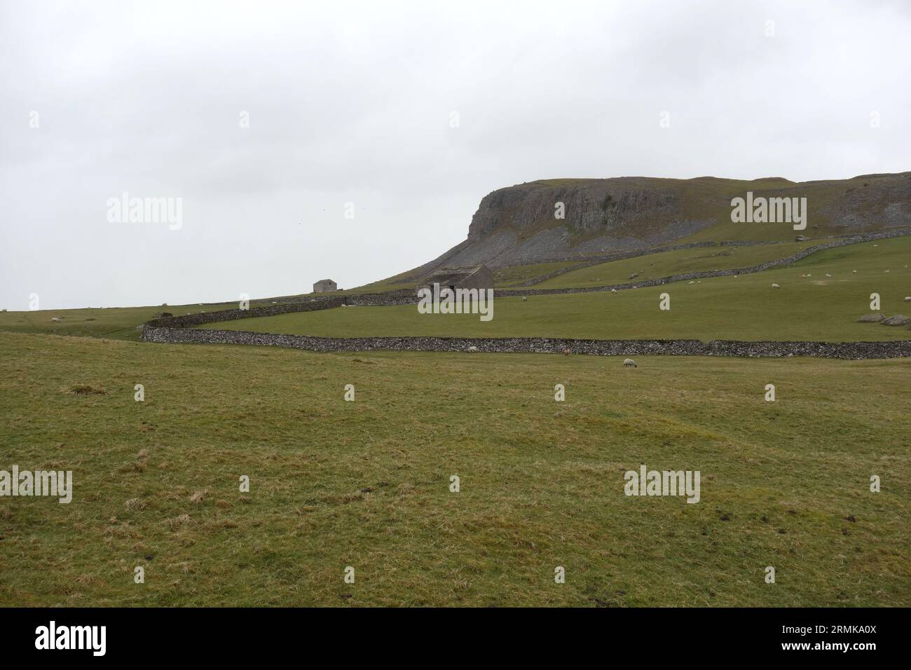 'Robin Proctor's Scar' a Limestone Crag near Austwick in the Yorkshire ...