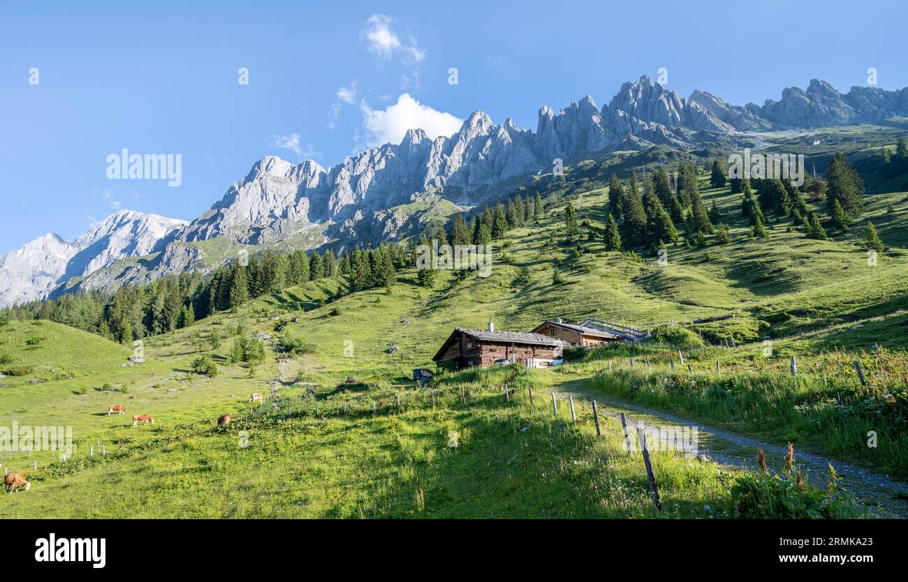 Wooden house, alpine pastures at Arthurhaus, Berchtesgaden Alps with ...