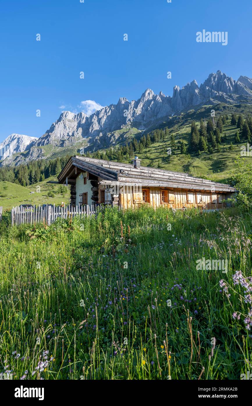 Wooden house, alpine pastures at Arthurhaus, Berchtesgaden Alps with ...