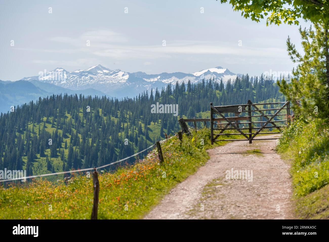 Field path, mountains with snow behind, landscape, Tyrol, Austria Stock ...