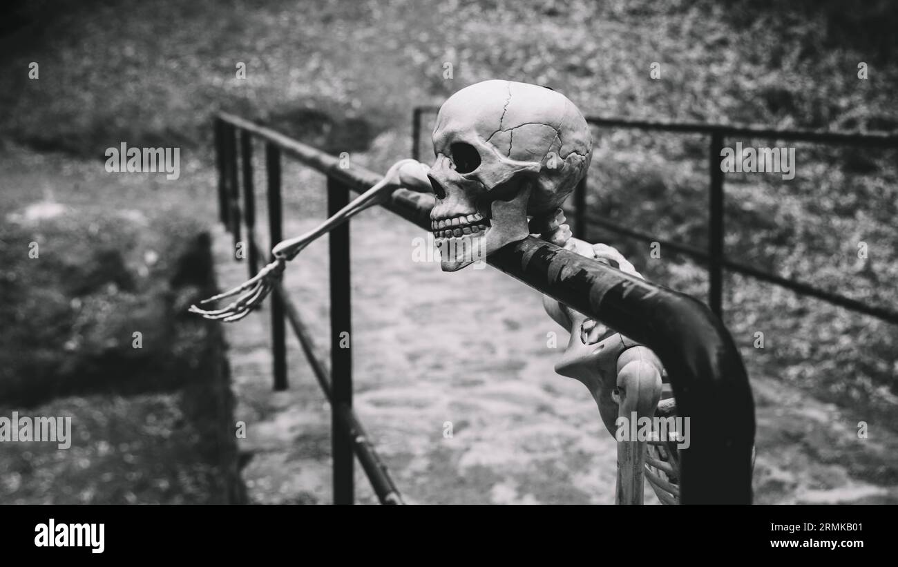 Artificial skeleton looking away resting parapet Stock Photo - Alamy