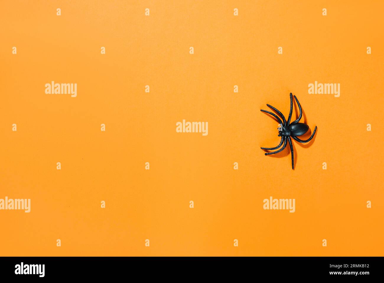 Black decorative spider with long legs Stock Photo - Alamy