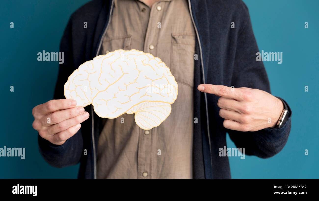 Close up man pointing paper brain Stock Photo - Alamy