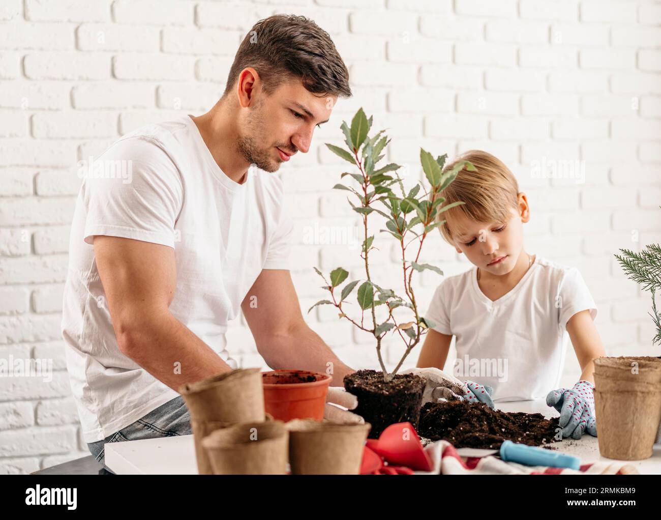 Father son planting seedling hi-res stock photography and images - Alamy