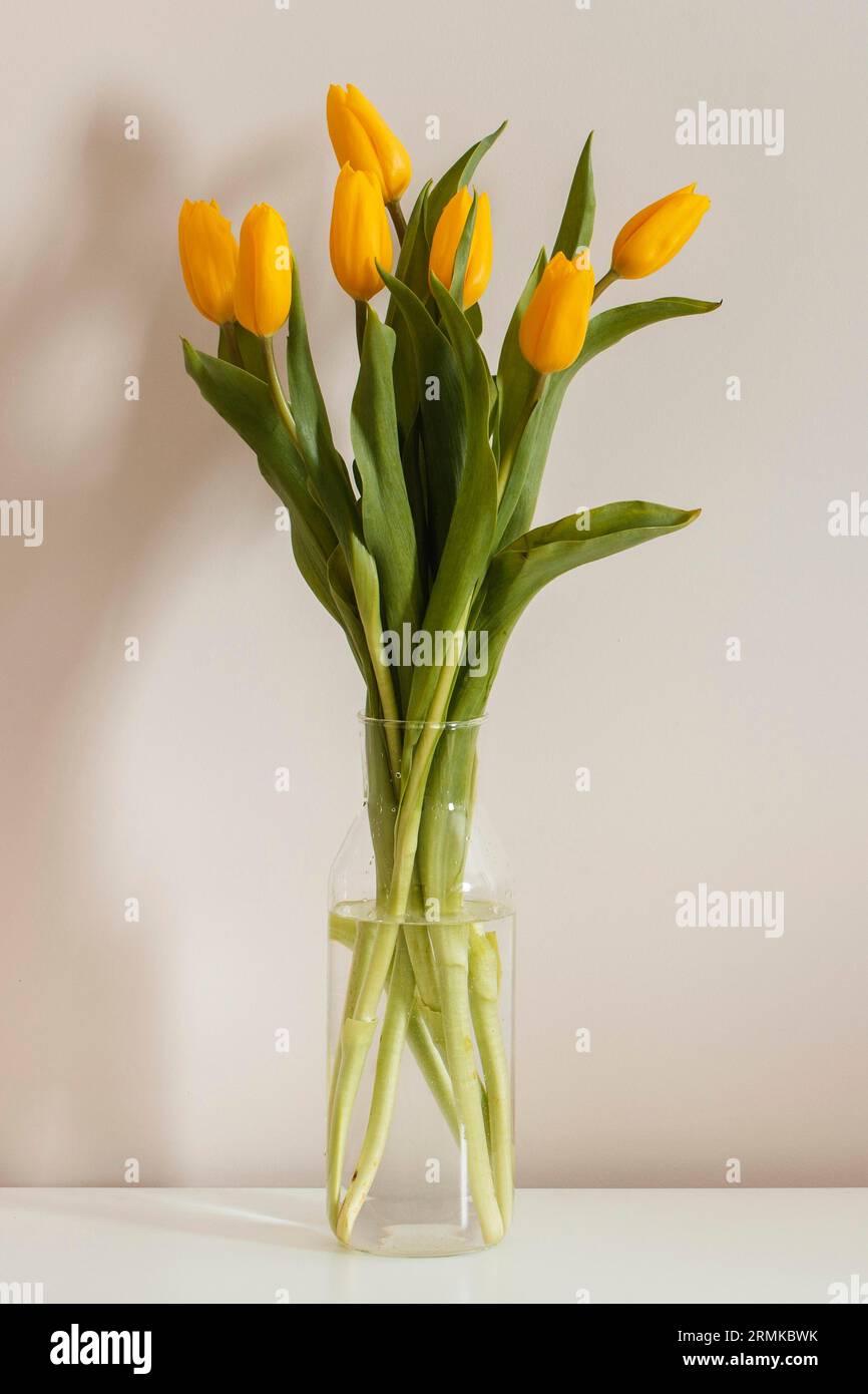 Front view bouquet tulips vase Stock Photo - Alamy
