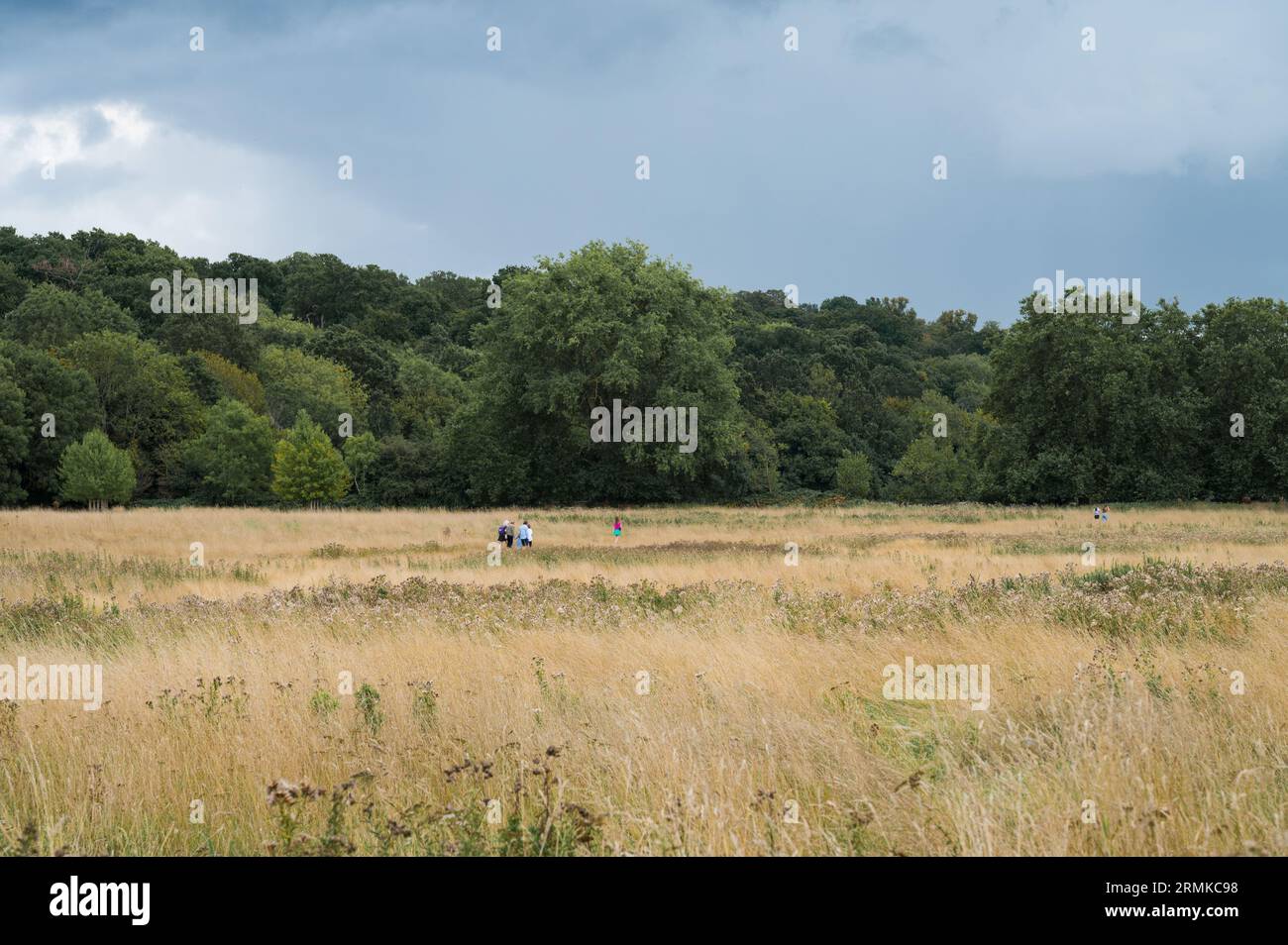 Viewed from the Thames path, people walking on a summer day through ...